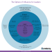 Why Knowing Your Sphere of Influence Helps You Grow as a Leader ...